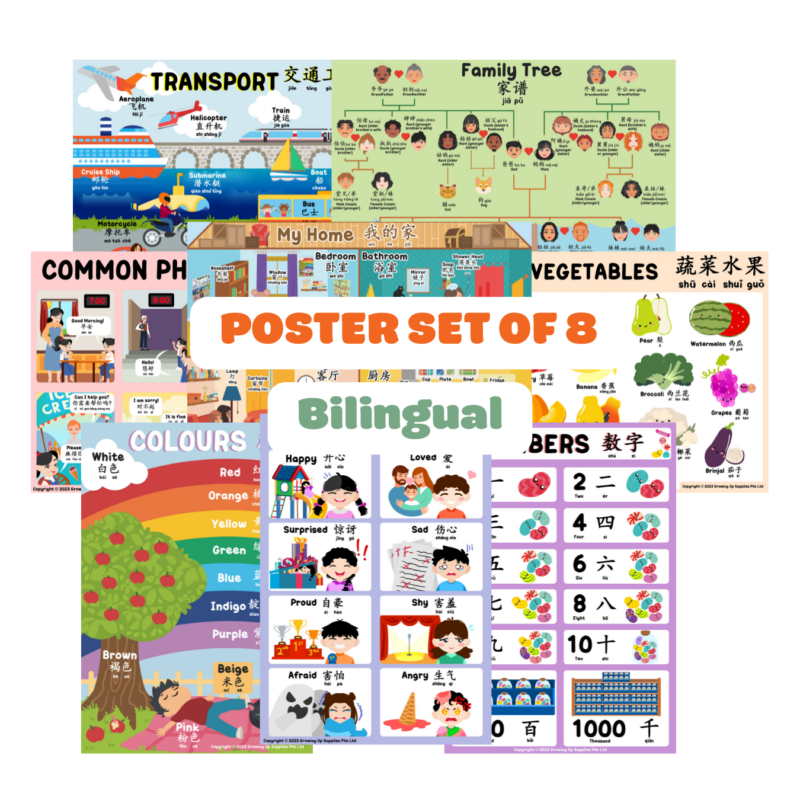 Educational Posters (Set of 8) - Bilingual (28X40cm) - Growing Up
